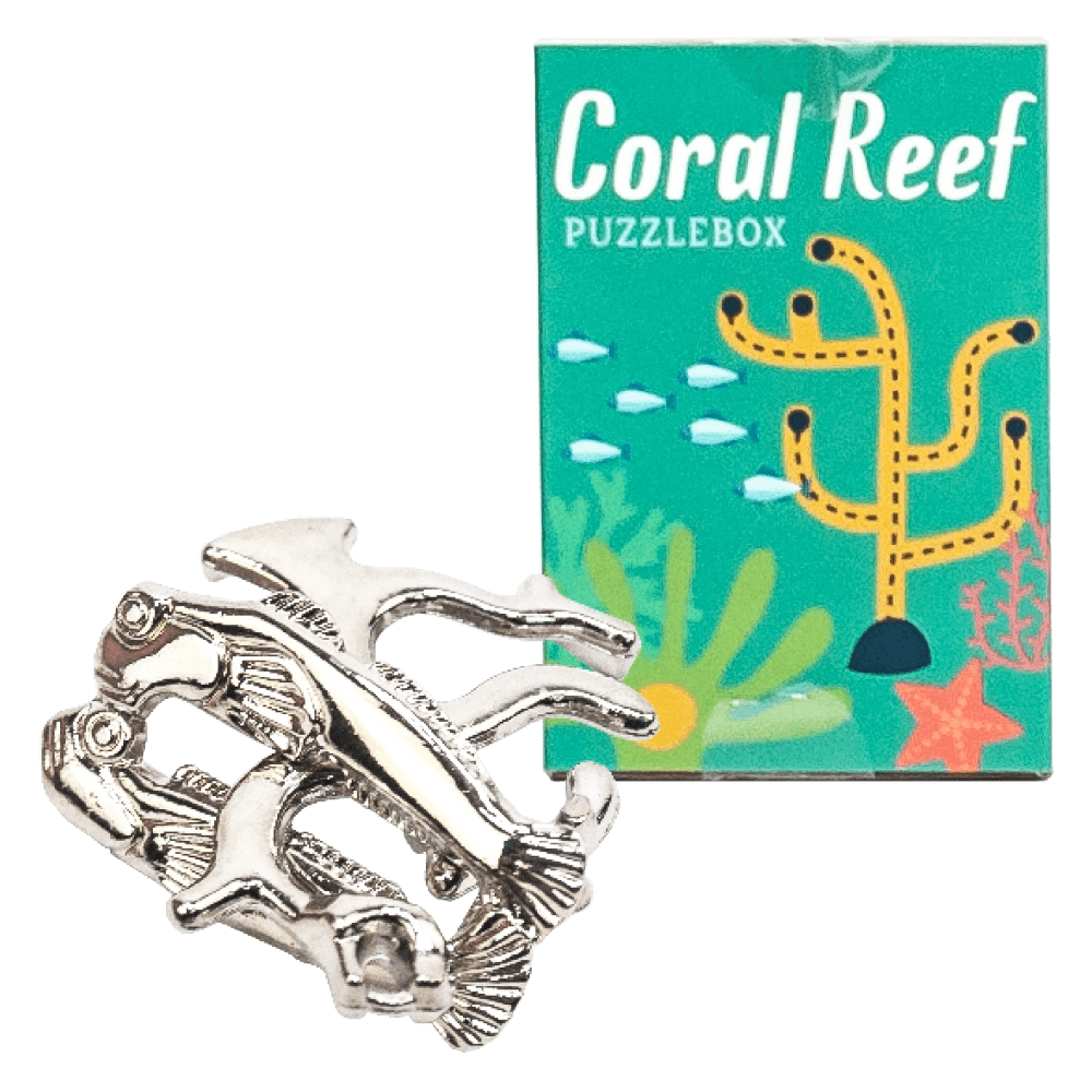 Matchbox Puzzle Box - Coral Reef – Little Shop of Magic