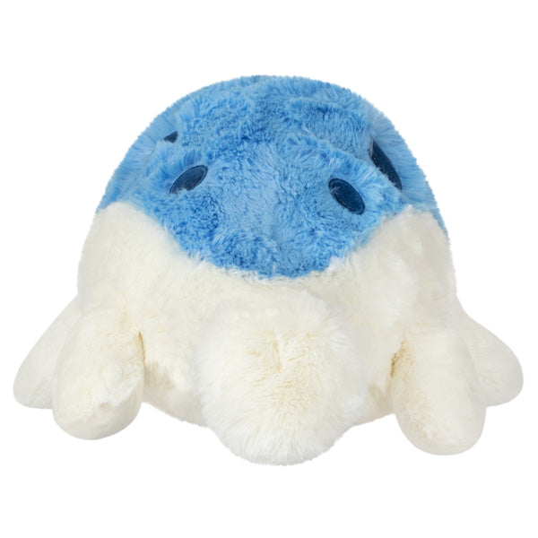 Squishable Mosasaurus (Mini) – Little Shop of Magic
